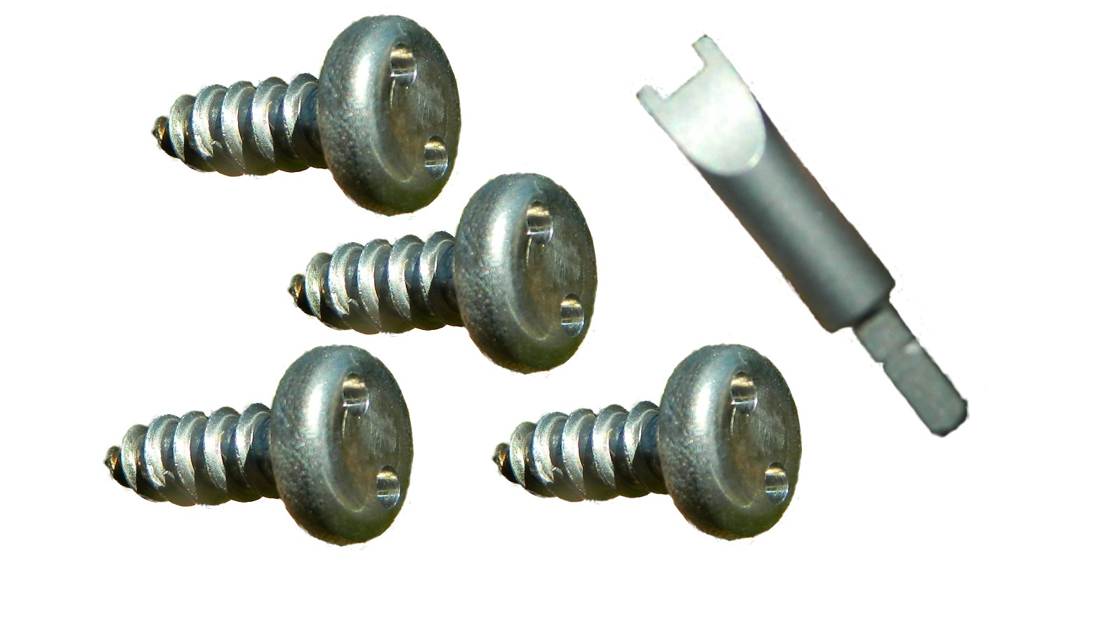 License plate security screws