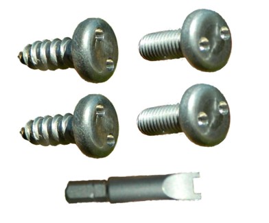 License plate security screws